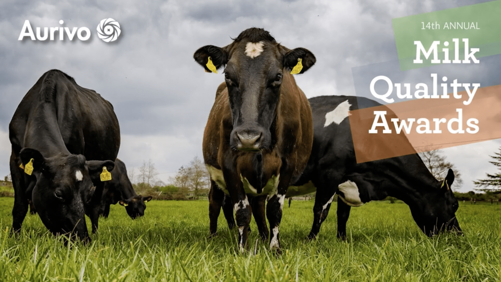 Aurivo | Global agribusiness bringing clean, green quality products ...