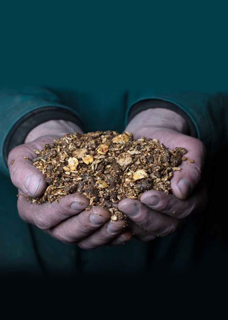 Donegal Creameries | Aurivo